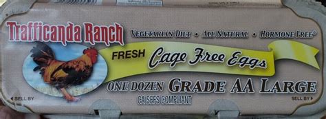 Trafficanda Egg Ranches Updated May 2026 8019 Haskell Ave Van Nuys