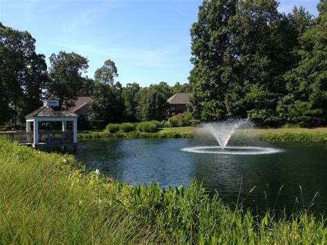 Pond Buffer Zones Creation And Benefits