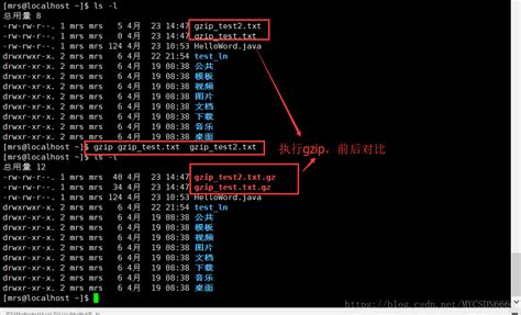 Linux之压缩和解压缩指令linux安装压缩和解压指令 Csdn博客