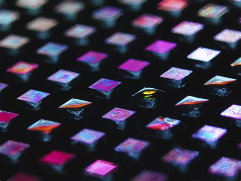 Benchmark Genetics Now Offers Aquaculture Genotyping At Market Leading Prices Benchmark Genetics