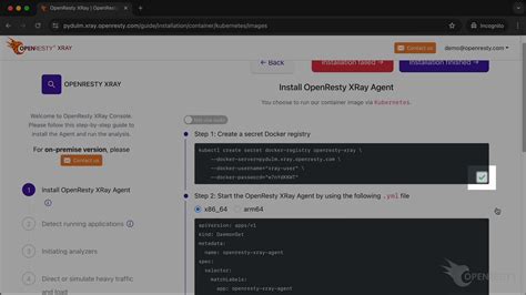 Install Openresty Xrays Agents On Kubernetes Cluster Openresty