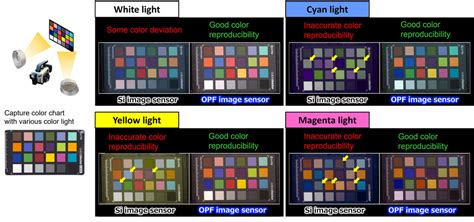 Panasonics New Organic Cmos Image Sensor Set To Improve Colour Amateur Photographer