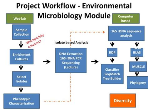 Ppt Biological Problems In Water Microbiology Powerpoint Presentation Id 5710310