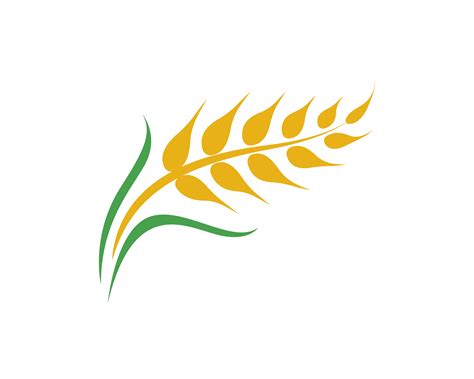Agriculture Wheat Vector 586513 Vector Art At Vecteezy
