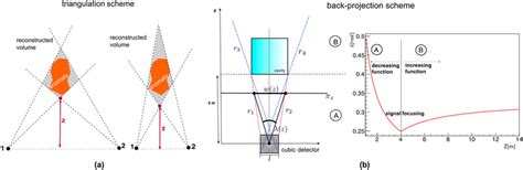 Schematic Representation Of The Three Dimensional Reconstruction Download Scientific Diagram
