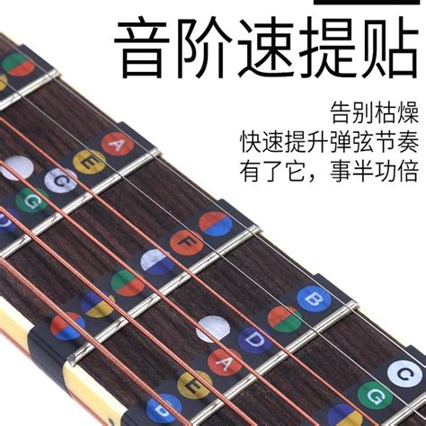 熱賣吉他音位貼音階圖音名表把位表數字唱名初學吉他音名簡譜指板貼紙小雅子精品百货 蝦皮購物