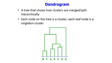 Solution 02 Heirarchical Clustering Studypool