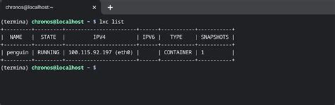 extra linux listing item in terminal app r crostini