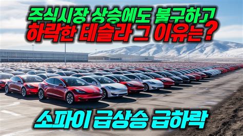 기술주 상승에도 불구하고 테슬라 하락 이유 소파이 급등 후 하락한 이유 롤로코스터 장세 주요 원인은 Youtube