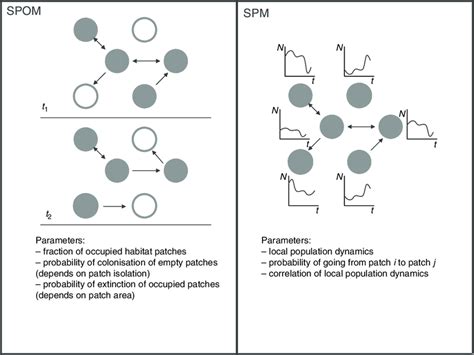1 Schematic Comparison Of Stochastic Patch Occupancy Models Spom And