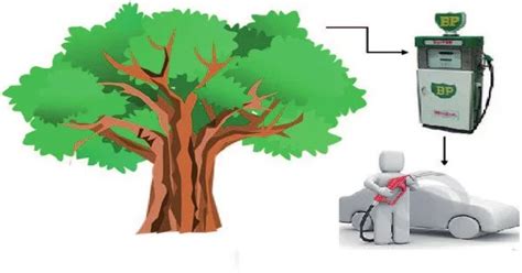 Second Generation Biofuels Assignment Point