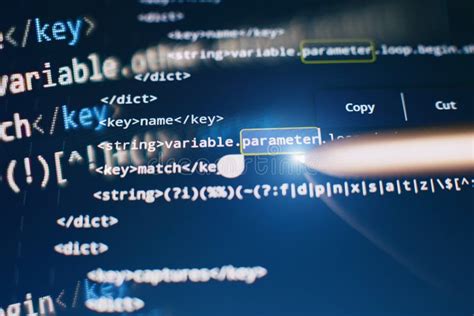 Developer Text Written On Programming Code Abstract Technology