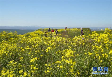 芬兰首都赫尔辛基夏季旅游热 高清组图 凤凰网资讯 凤凰网