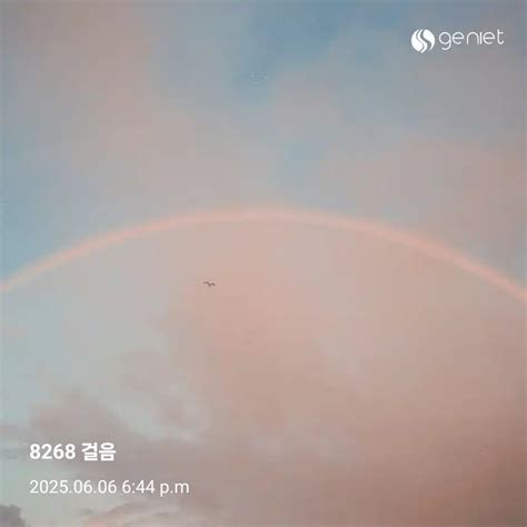 시댁왔어요 팬마음 커뮤니티