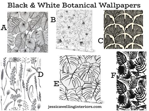 60 Stunning Botanical Wallpaper Prints 2025 Jessica Welling Interiors