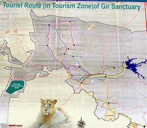 Hawk On Fours® H 4® Roadtrip Reminiscences Of Gir Forest Team Bhp