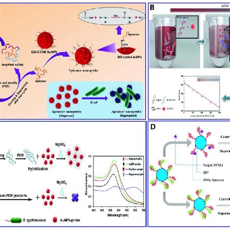 Schematic Description Of The A Sensing Platform For E Coli Detection