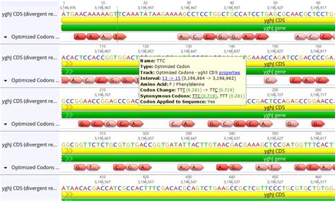 Geneious Prime 20202