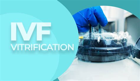 Oocyte And Embryo Ivf Vitrification Your Personal Golden Reserve