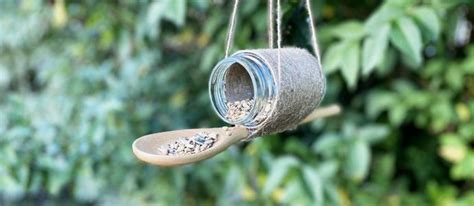DIY Bird Feeder