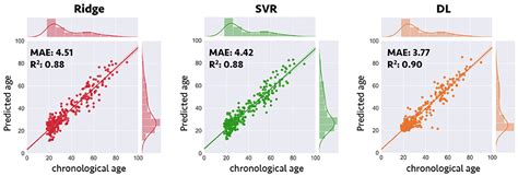 Frontiers Improving Individual Brain Age Prediction Using An Ensemble Deep Learning Framework