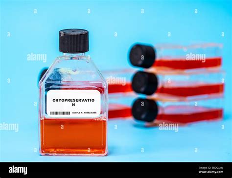 Cryopreservation Freezing Cultured Cells For Long Term Storage While Preserving Their Viability