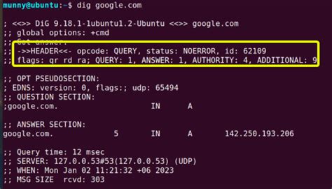 The “dig” Command In Linux 10 Practical Examples