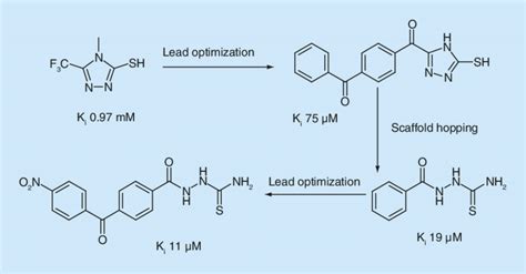 Fragment Based Lead Discovery For A Class B B Lactamase Fragment Based Download Scientific