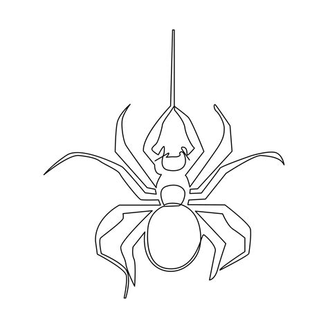 Vector In One Continuous Line Drawing Of Spider Illustration Minimal