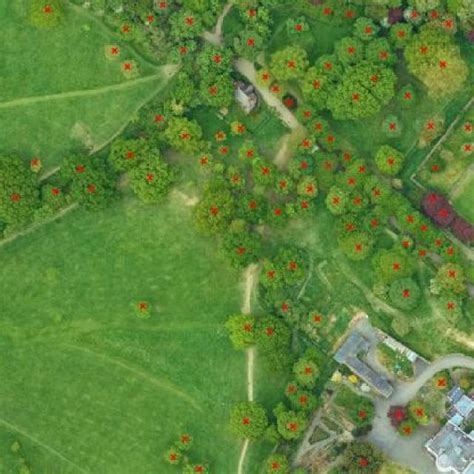 Tree Counting Object Detection Dataset V1 2023 03 31 155pm By Tree