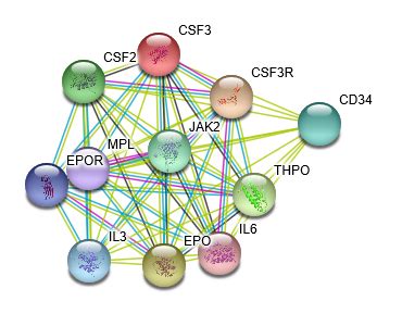 G CSF Protein Overview Sino Biological