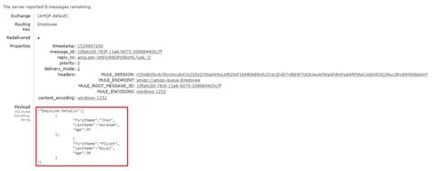 Integrating Mule And Rabbitmq