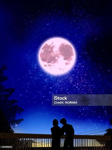 밤하늘 풍경 배경에서 빛나는 별과 달과 함께 다리에 껴안고있는 커플의 흑백 실루엣 그림 경관에 대한 스톡 벡터 아트 및 기타 이미지 경관 공원 교량 Istock