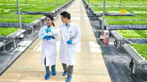 Windrow What Is Windrow Composting Process And How It Works