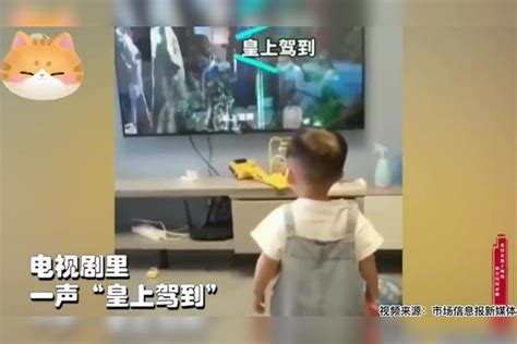 电视剧里一声皇上驾到下一秒宝宝双膝跪地沉浸式追剧