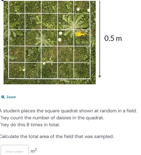 A Student Places The Square Quadrat Shown At Studyx