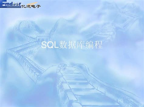 Sql数据库编程word文档在线阅读与下载无忧文档