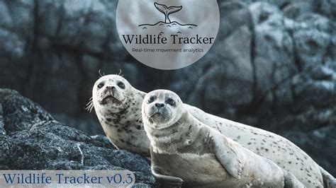 Earth Observation And Biologging Data For Marine Conservation By