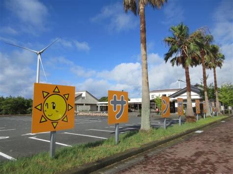 観光農園サンサンファーム 旅サラダplus 観光・お出かけspot