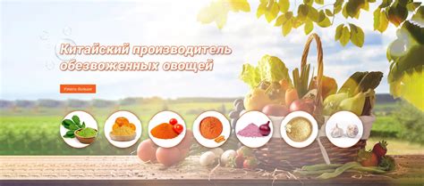 Best Овощи Фрукты Сушеная Заводы Factories Exporter Yumi Food