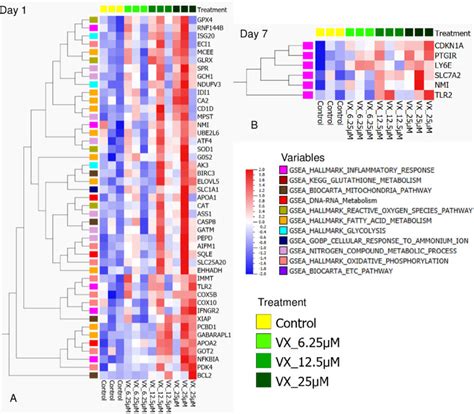 A Novel Approach To Interrogating The Effects Of Chemical Warfare Agent