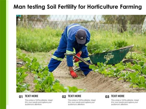 Man Testing Soil Fertility For Horticulture Farming Presentation Graphics Presentation
