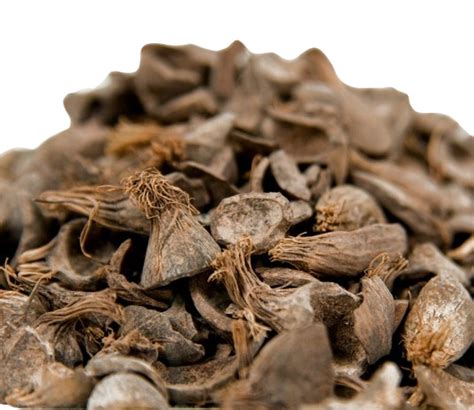 Palm Kernel Shell Inaexport