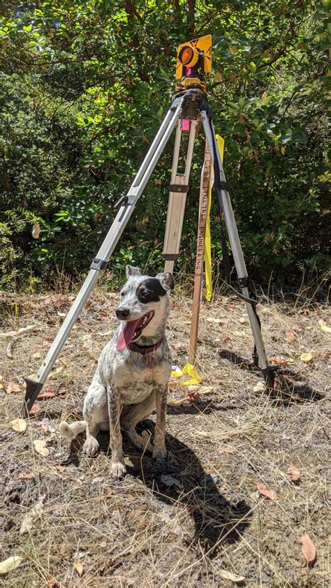 Careers Tall Tree Engineering