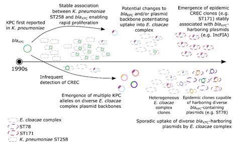 Figure 1 From Multidrug Resistant Enterobacter Cloacae Complex Emerging As A Global