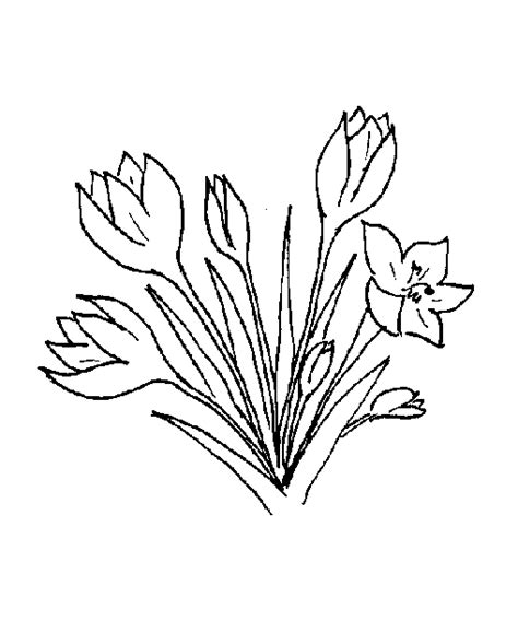 Цветя Детски Свят