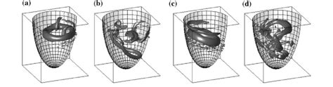 Flow In The Left Ventricle Visualized By Its Main Three Dimensional Download Scientific Diagram