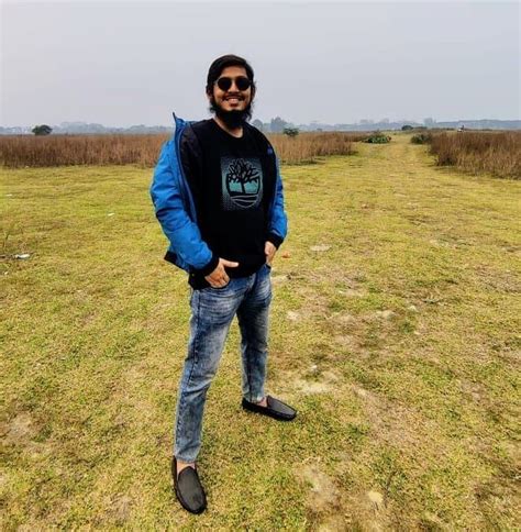 What Is The Shark Population Facts And Current Estimates 2024