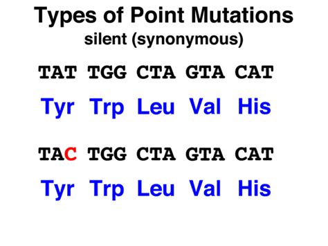 Silent Mutation