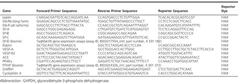 Table 1 From Leptin Matures Aspects Of Lung Structure And Function In
